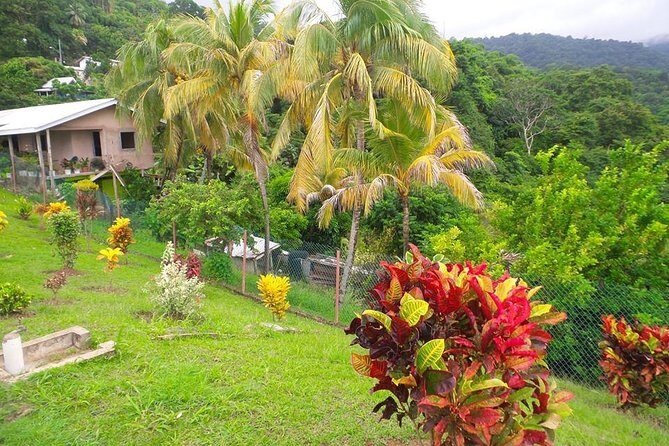 VIP Inclusive Private Tour of Island (Lunch, Drinks + Snorkeling) - Final Thoughts