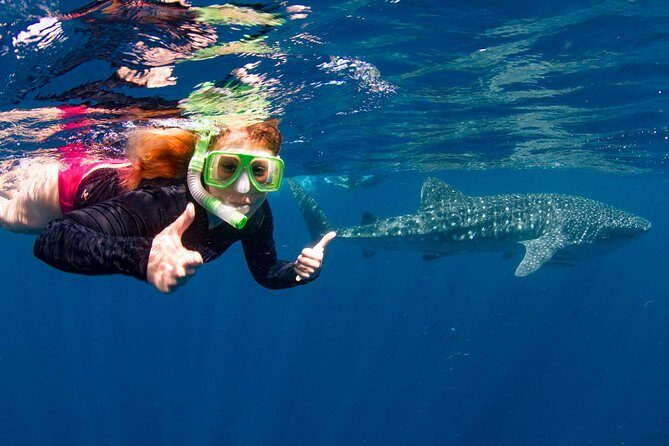 VIP luxury chartered escapes, exploring the reef at your own pace - An In-Depth Look at the Experience