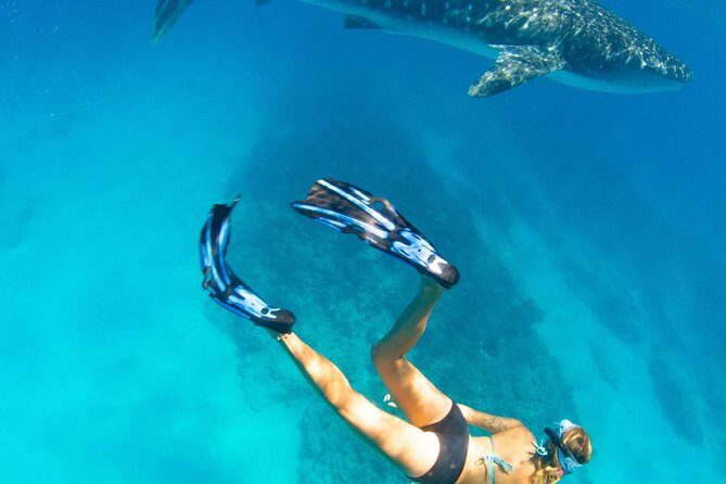 VIP luxury chartered escapes, exploring the reef at your own pace - FAQ