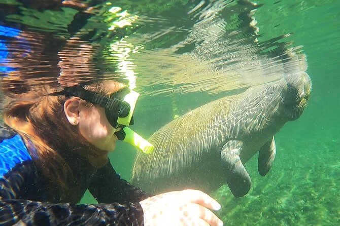 VIP Private Boat Manatee Snorkel Tour with In-Water Guide and Photograper - Pricing and Value Analysis