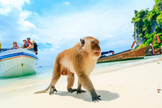 VIP Private Boat to Phi Phi Island: Snorkeling + Land Tour - Why This Tour Is Worth Considering