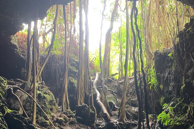 VIP Private Full-Day Road to Hana Tour from Lahaina-Kapalua - An Honest Look at the Full-Day Private Road to Hana Tour