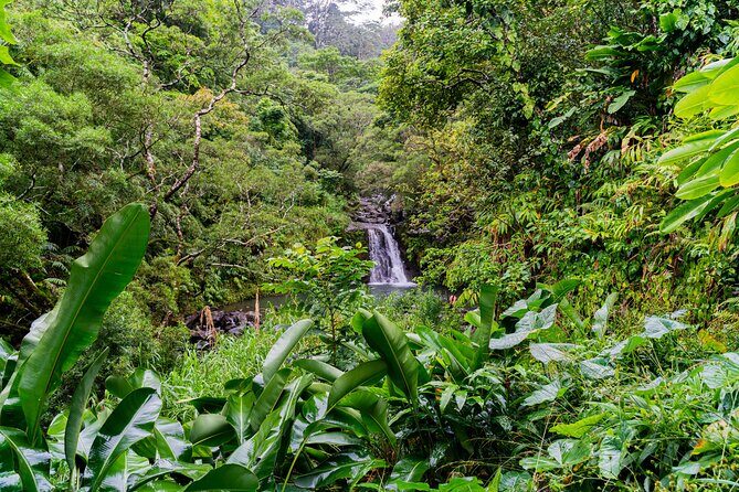 VIP Private Full-Day Road to Hana Tour from Wailea - Kihei - Jaws Country Store: A Local Break