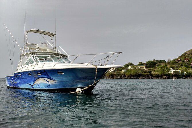 VIP Private Guided Scuba Diving/Snorkeling Excursion - Final Thoughts