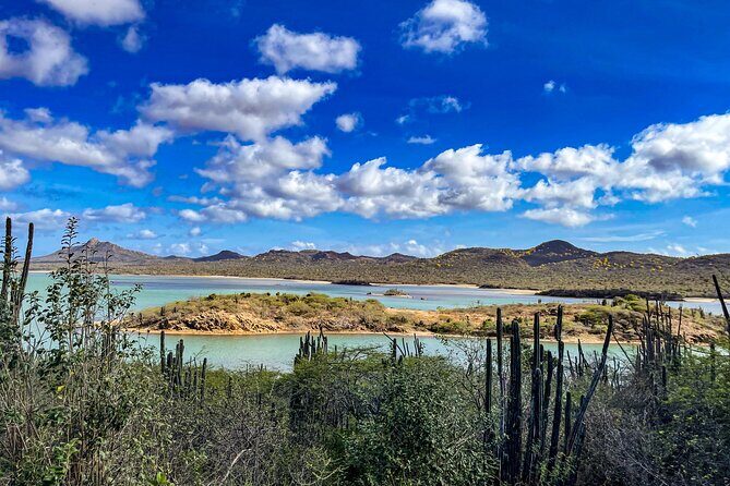 VIP Private Highlight Tour  North & South - The Sum Up: Who Is This Tour Best For?