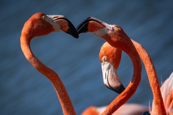 VIP Private Highlight Tour  North & South - FAQ