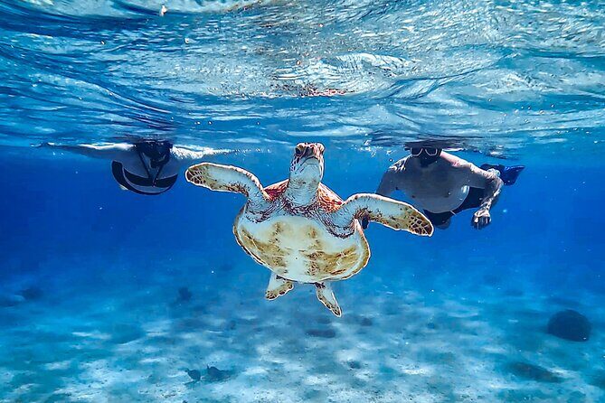 VIP Private Island & Snorkeling Tour  South Bonaire - A Closer Look at the Tour Itinerary