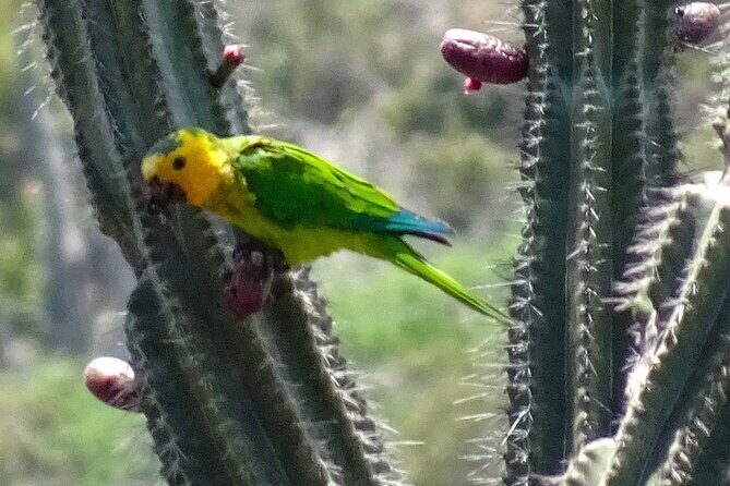 VIP Private North Island Tour - Who Will Love This Tour?