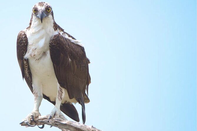 VIP Private North Island Tour - The Sum Up