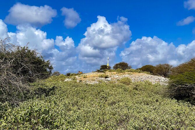 VIP Private North Island Tour - FAQ