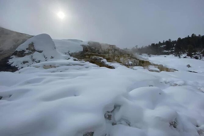 VIP Private North Yellowstone National Park Winter Excursion - Final Thoughts: Is It Worth It?