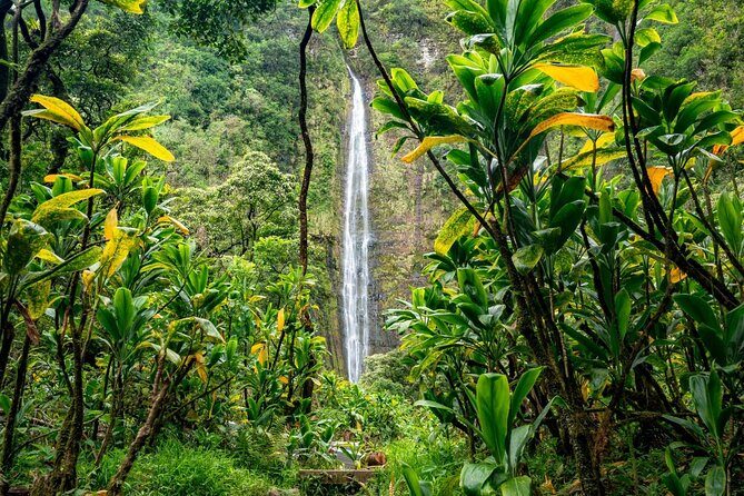 VIP Private Road to Hana and Haleakala Sunset Tour - A Deep Dive Into the Maui Private Road to Hana and Haleakala Sunset Tour