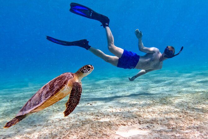 VIP Private Snorkeling Tour with Underwater Photos - Why Value Matters