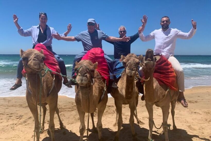 Vip Private Tangier Tour from Marbella with Ali All Included - Who Will Love This Tour?