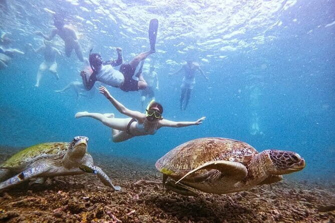 VIP Samui to Nangyuan and TAO adventures Island Tour - The Itinerary in Detail