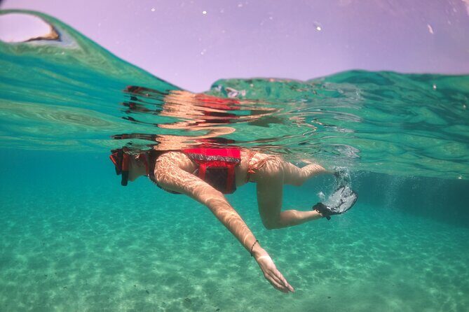 VIP San Juan: Snorkeling Tour with Turtles with Free Videos - The Practical Side: Equipment, Safety, and Logistics