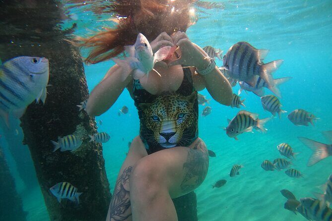 VIP San Juan: Snorkeling Tour with Turtles with Free Videos - What the Reviews Say