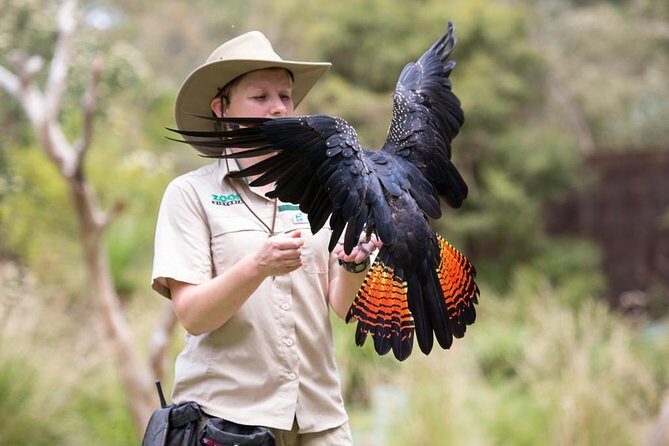 VIP Sanctuary Tour at Healesville Sanctuary - excl. entry - Analyzing the Experience: What We Love