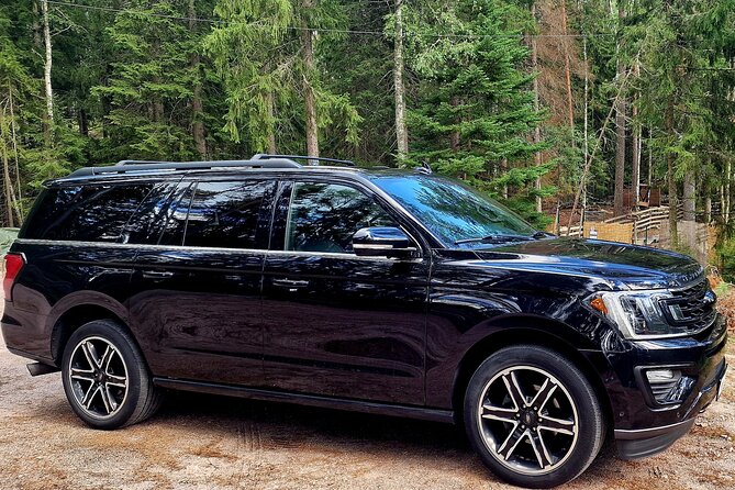 VIP SERVICE Traditional Finnish Log Sauna and Food Experience - Practical Considerations