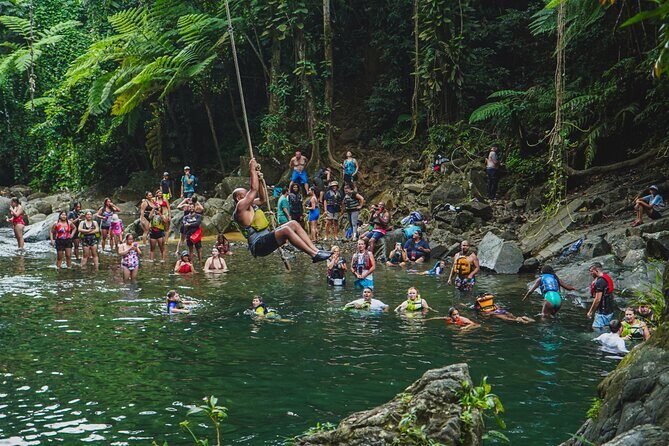VIP Small Group El Yunque Rainforest Adventure - A Closer Look at the Experience