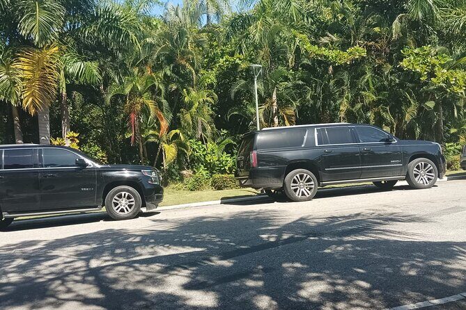VIP Suburban Transfer from Punta Cana Airport to Bavaro Hotels - Driver Service and Local Insights