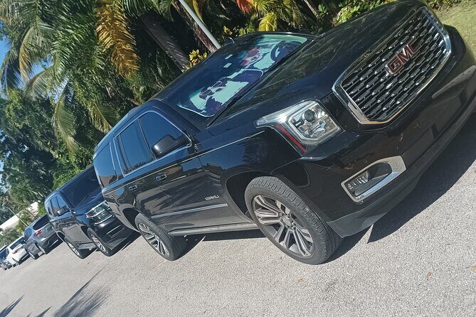 VIP Suburban Transfer from Punta Cana Airport to Bavaro Hotels - Flexibility and Cancellation