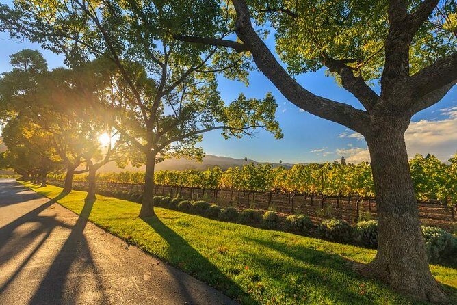 VIP Swan Valley Wine Tour - Premium Small Group Wine & Gourmet Experience - An In-Depth Look at the Tour Experience