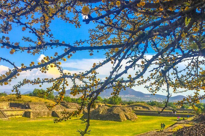 VIP Teotihuacan & Guadalupe Shrine Tour: A Journey Through Time - Introduction: Why Consider This Teotihuacan & Guadalupe Tour?