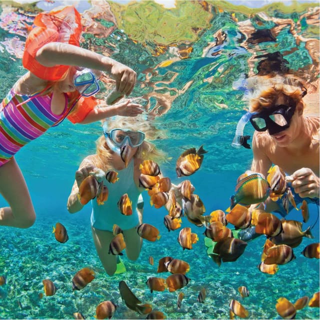 Vip Tour 3 Islands Nha Trang - Mud Bath - FAQs