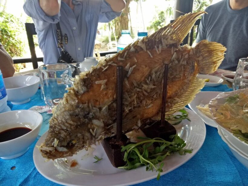 VIP Tour Authentic Mekong Delta & Local pagoda by SpeedBoat - What to Know Before You Book