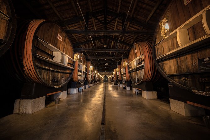 VIP Tour of the Cellars, Wine and Vermouth Tastings - Highlights of the Cellar Tour