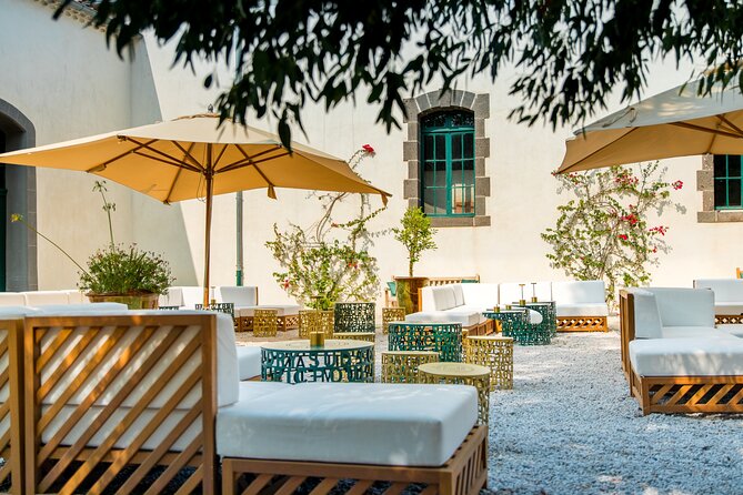 VIP Tour of the Cellars, Wine and Vermouth Tastings - Tasting the Finest Vermouth and Wines