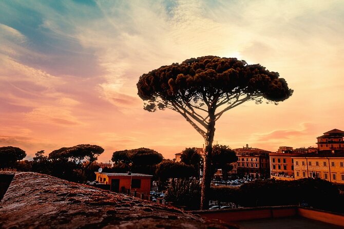 VIP Tour of the Roman Castles - Exploring the Roman Castles: A Practical Guide to a Unique Day Trip from Rome