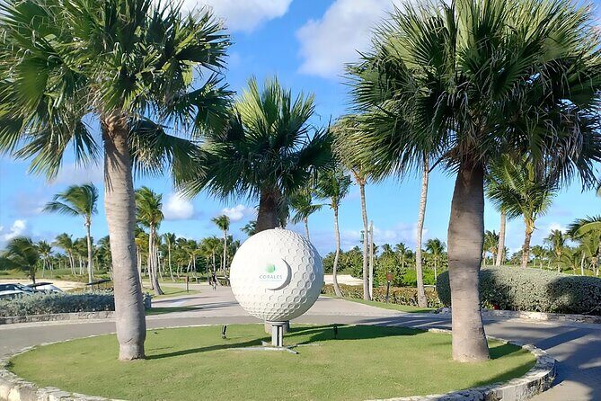 VIP Transfer from Airport to Cap Cana Hotels - The Sum Up: Is This Transfer Right for You?