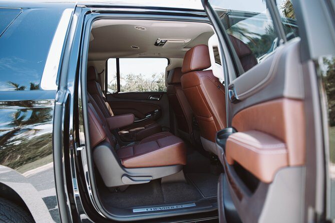 VIP Transfer Punta Cana Airport to Punta Cana & Bavaro Hotels (Not Uvero Alto) - What the Reviews Reveal