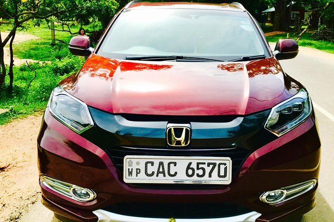 VIP Transport - Who Should Consider This Service?