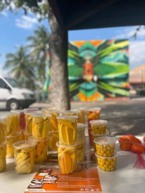 VIP Walking Tour of Little Havana - Introduction