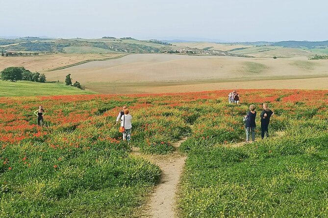 VIP Wine Experience Montalcino & Montepulciano With Lunch - Local Cuisine: A Culinary Delight