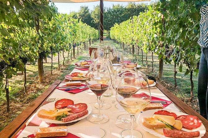 VIP Wine Experience Montalcino & Montepulciano With Lunch - Exploring Montepulcianos Historical Cellars