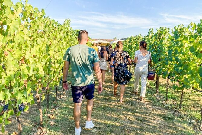 VIP Wine Experience Montalcino & Montepulciano With Lunch - Meet Your Knowledgeable Guide