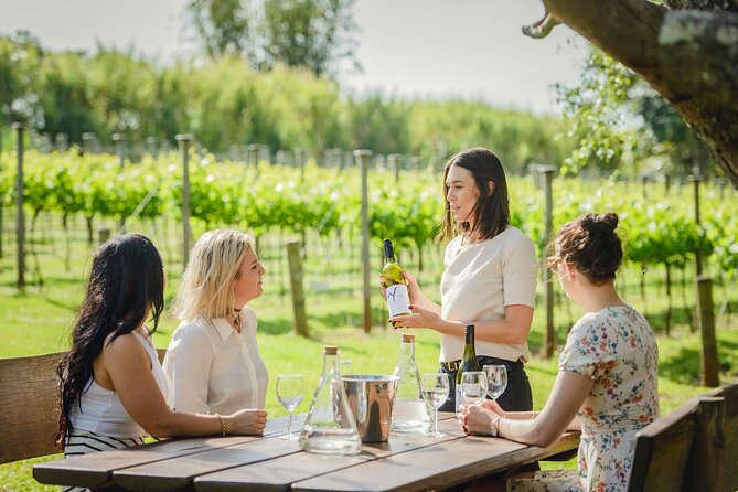 VIP Wine Experience Montalcino & Montepulciano With Lunch - Plan Your Perfect Day Trip