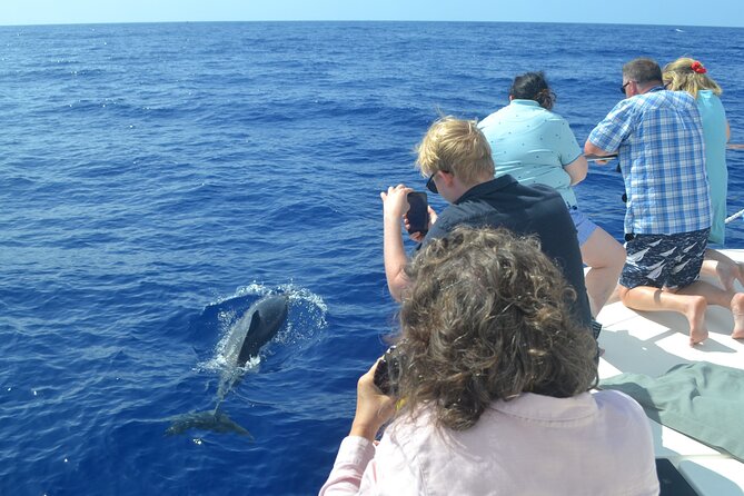 VipDolphins Luxury Whale Watching - FAQ