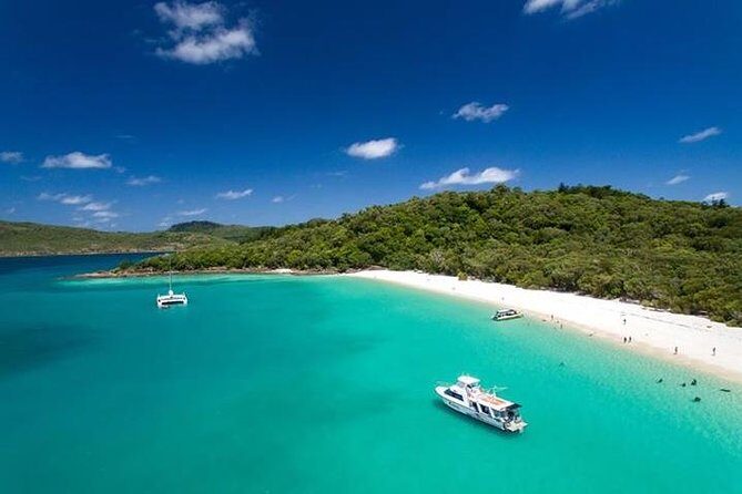 Viper: Great Barrier Reef Snorkel Including Whitehaven Hill Inlet - Who Should Consider This Tour?