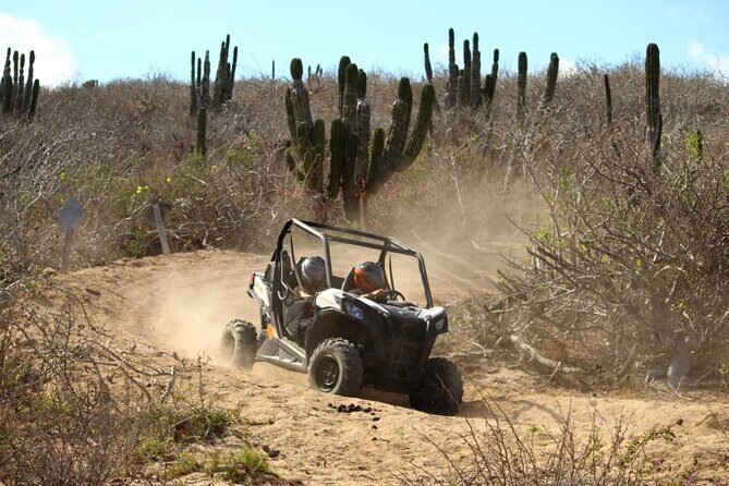 Viper Trail UTV Small-Group Experience in Cabo San Lucas - Pricing and Value