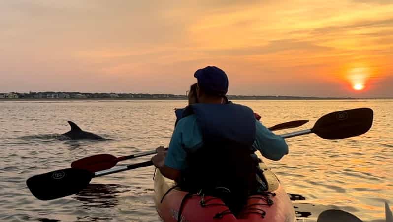 Virginia Beach: Dolphin Kayak Tour: This is a Workout! - Authentic Wildlife Encounters
