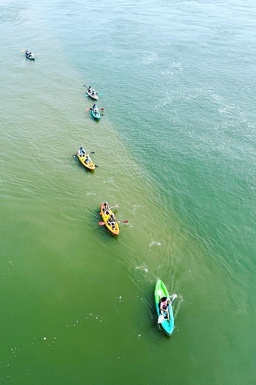 Virginia Beach: Dolphin Kayak Tour: This is a Workout! - The Sum Up