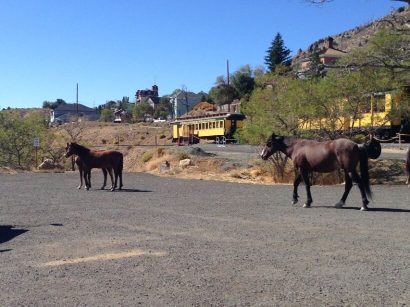 Virginia City Day Tour From Lake Tahoe with Train Ride - Final Thoughts