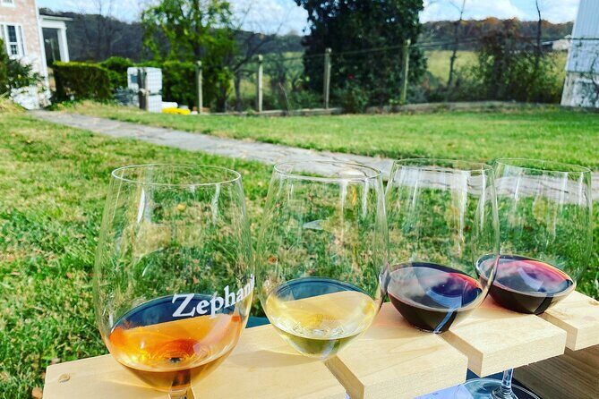 Virginia Wineries Tour - An In-Depth Look at the Virginia Wineries Tour