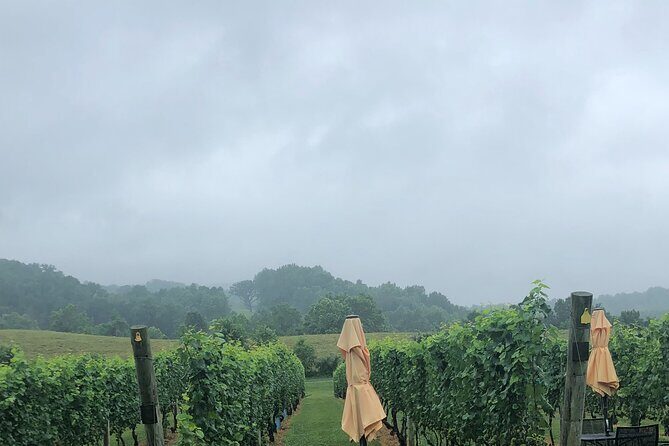 Virginia Winery Excursion by Luxury Vehicle Three wineries - An In-Depth Look at the Virginia Winery Excursion