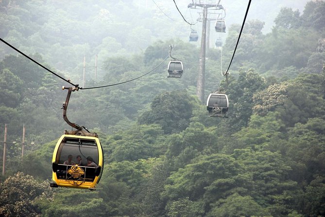 Visa-Free Private City Tour for Guangzhou Airport Layover Visitor - Who Is This Tour Best For?